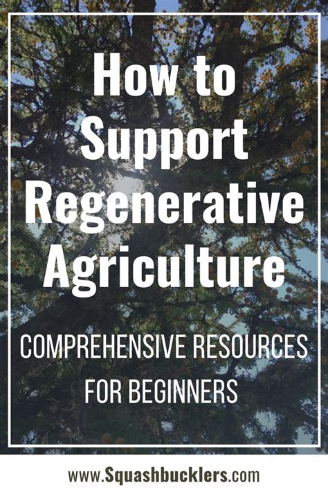 Support Regenerative Agriculture Comprehensive Resources For Beginners Duurzame Landbouw