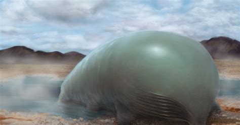 Are There Silicon Based Life Forms On Earth The Earth Images Revimageorg