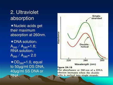 Ppt Chapter 2 Nucleic Acid Chemistry Powerpoint Presentation Free
