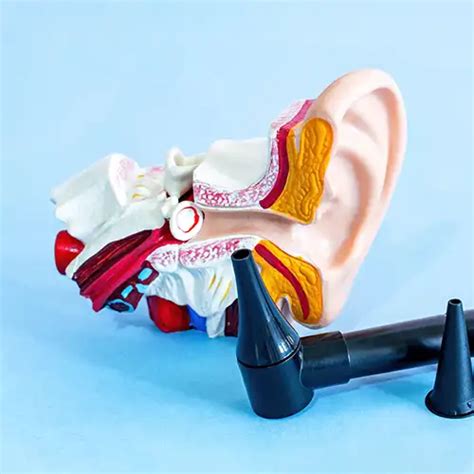 Cholesteatoma Surgery Ph 07 3905 5999 Complete Ent