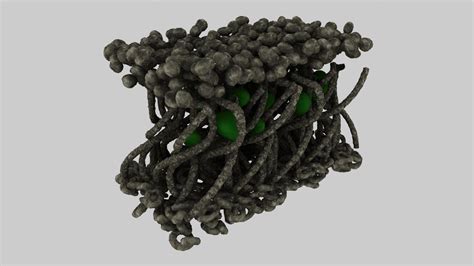 Moss Lichen Yellow 3d Model 24 Fbx Max Obj Free3d