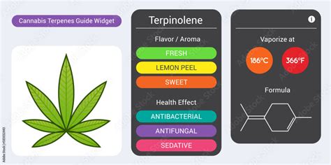 Cannabis Terpene Guide Information Chart Aroma And Flavor With Health