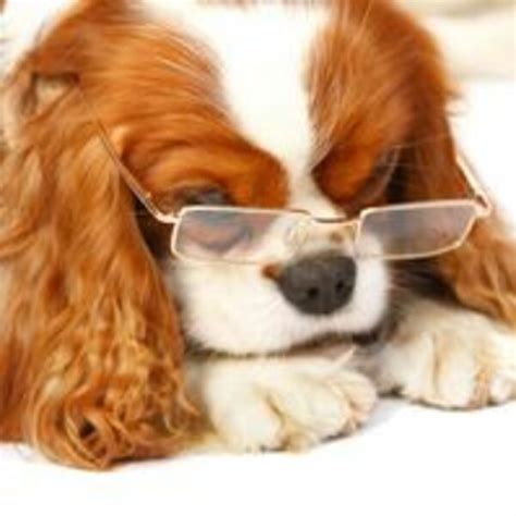 Skool Site Teaching Resources Teachers Pay Teachers