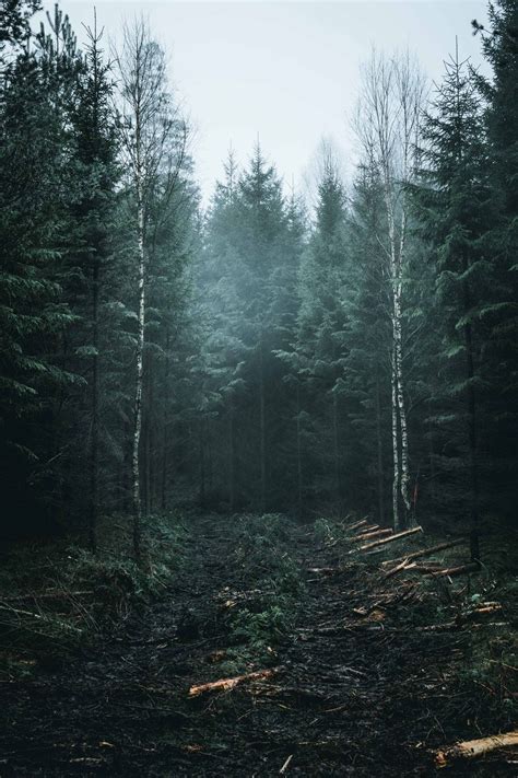 Dark Moody Wallpapers Wallpaper Cave