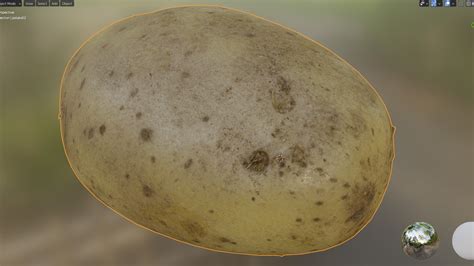 4k Scanned Potato Superhive Formerly Blender Market