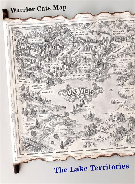 Warrior Cats Map The Lake Territories Handmade Scroll Cat View Map