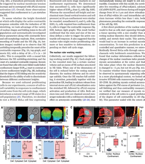 Enucleated Cells And Cells Regioselectively Confined To Avoid The