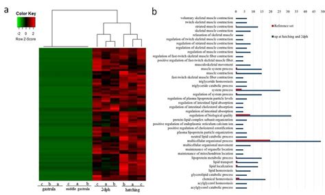 A Heatmap Of Expression Pattern And Hierarchical Clustering Of