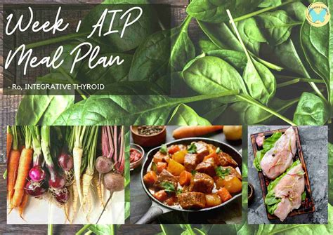 A Simple Guide On How To Do The Auto Immune Protocol