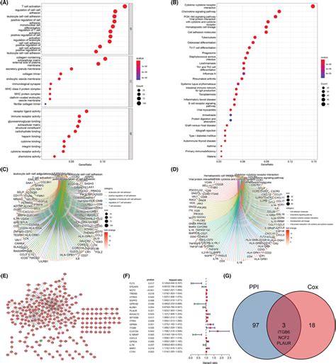 A Bubble Plot And C Circle Plot Of Go Analysis Showing The