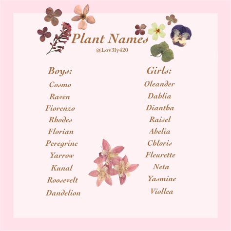 Plant Names Cute Artofit