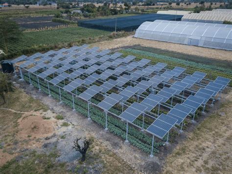 Agrivoltaics Doubling Up Solar Energy With Crop Production Uk Energi