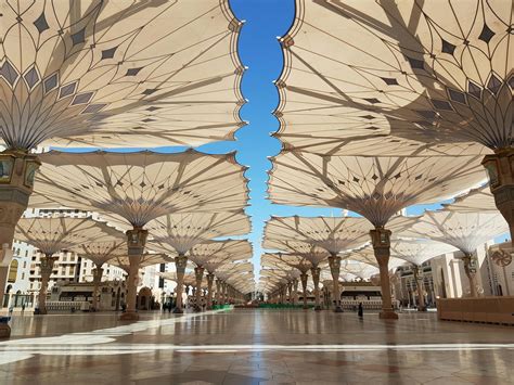 Alexander Ibrahim Fotografia