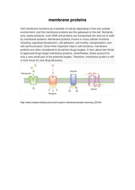 Ppt Membrane Proteins Powerpoint Presentation Free Download Id 8114100