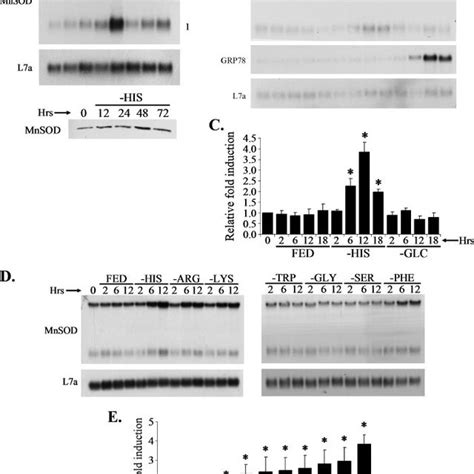 A Bar Graph Representing Cell Viability As Determined By Mtt Assay At