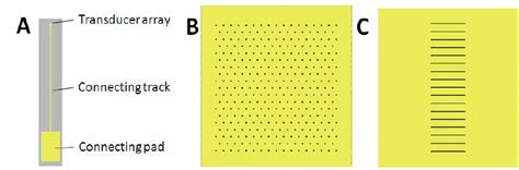 Schematic Representation Of The Fabricated Device And Of The Transducer Download Scientific