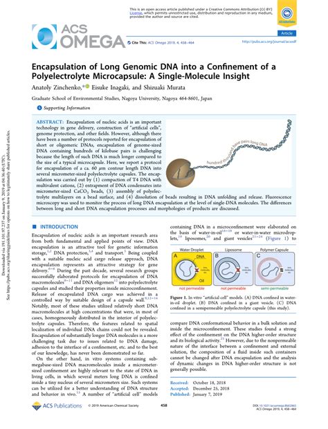 Pdf Encapsulation Of Long Genomic Dna Into A Confinement Of A