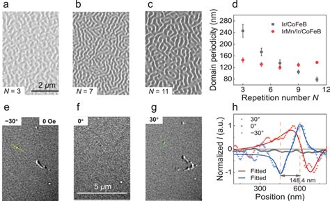 The Effect Of Dipolar Interaction On Domain Periodicity And