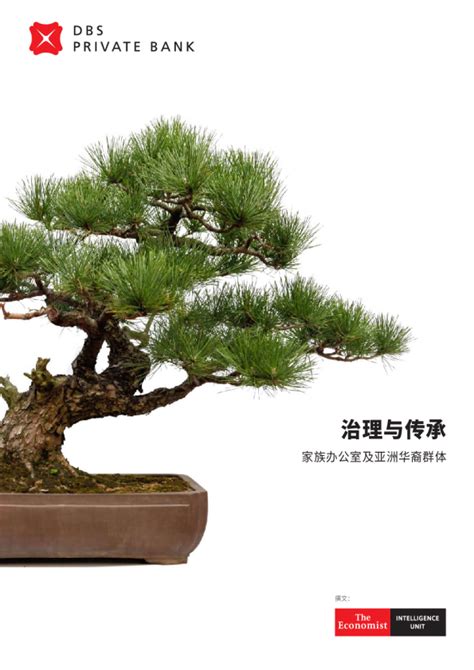 治理与传承：家族办公室及亚洲华裔群体