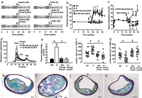 Hd Ad Vldlr Treatment Reduces The Marked Dyslipidemia In Diabetic Download Scientific Diagram