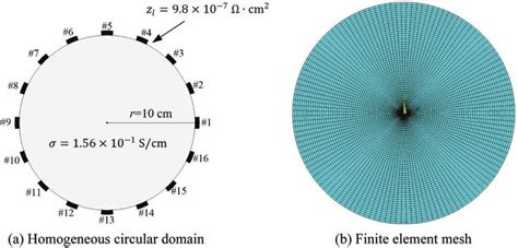 homogeneous circular domain and finite element mesh for validating the