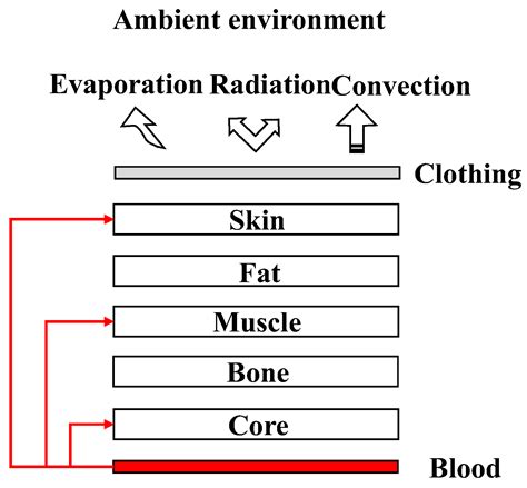 Integrated Thermofluid Lumped Parameter Model For Analyzing