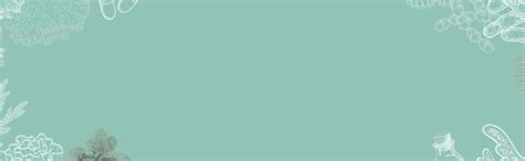 Macrocitosis Causas Y Tratamiento