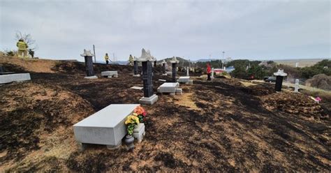 가족묘 정비하러 갔다가 담뱃불에묘 9기 불에 타