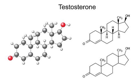 Testosterone Molecule Illustrations Royalty Free Vector Graphics