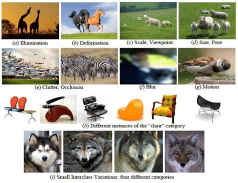 6 Challenges Of Object Identification © Cc By 40 From Liu L Download Scientific Diagram