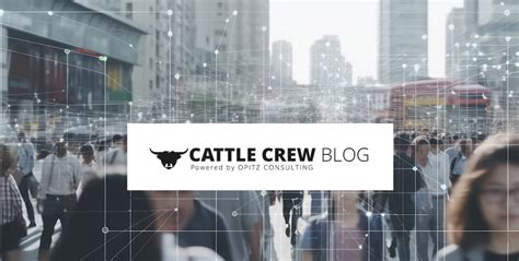 Machine Learning Mit Mlops Opitz Consulting