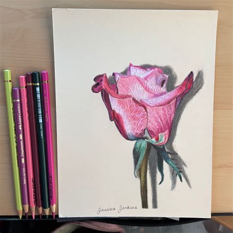 Pink Rose Original Colored Pencil Drawing Flappy Hands Creations