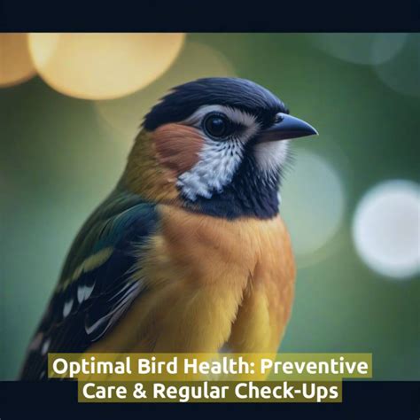 Optimal Bird Health Preventive Care And Regular Check Ups Pet Health
