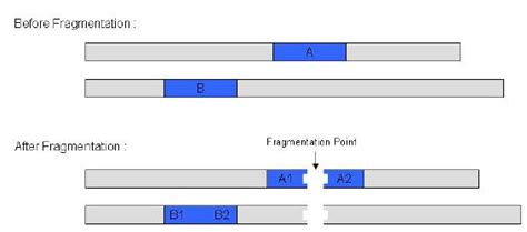 Protein Fragmentation Download Scientific Diagram