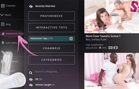 How To Sync Lovense Sex Toys With Porn Videos On Adult Time Guide
