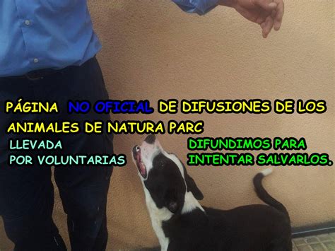 Asociación Pro Animales Asociación Pro Animales Mallorca