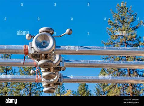 Section Of An Insulator Assembly For A High Voltage Power Line In