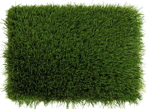 Grass Authentic Grass