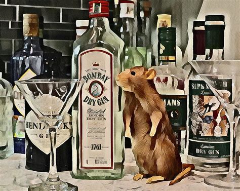 Bar Rat Photograph By Al Munroe Fine Art America