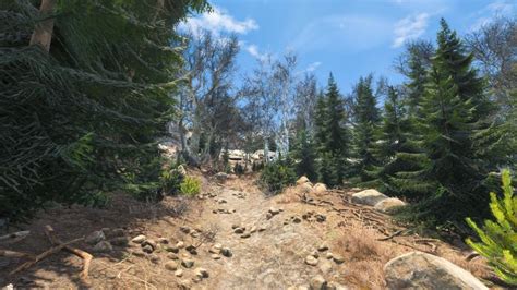 Final Version And The Final Picture Of This Overused Forest Level Full