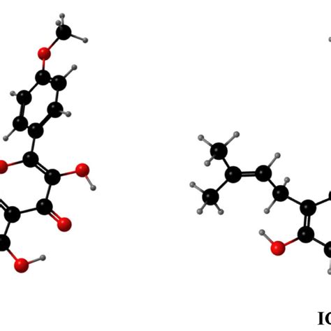 Antitumor Activity Of Ic2 In 4t1 Mouse Xenograft Model A Download Scientific Diagram