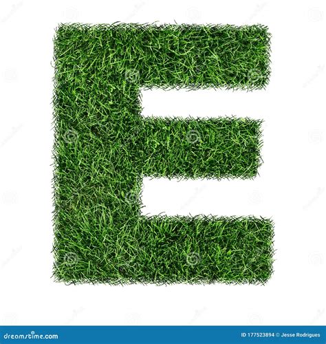 Letter Of Grass Alphabet Grass Letter E Isolated On White Background