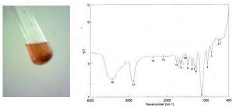 Dragendorf Positive Reaction Of Peg2000 Cdi Showing Red Orange