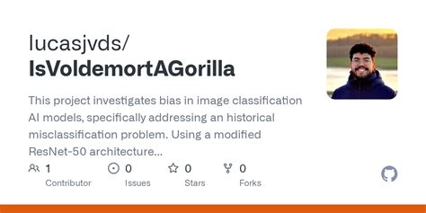 Github Lucasjvdsisvoldemortagorilla This Project Investigates Bias