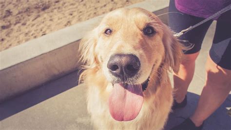 基础架构：一条sql查询语句是如何执行的？ 知乎