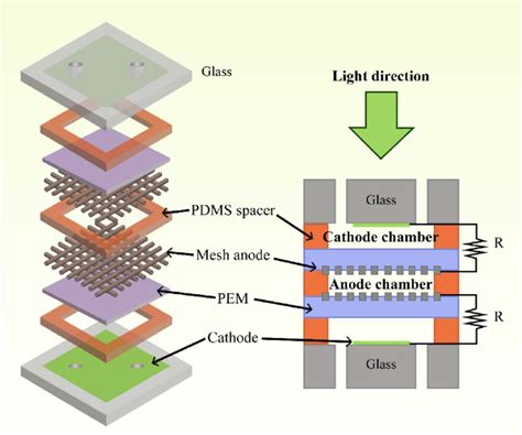 Graphical Representation Of A Dual Cathode Chamber Stacked Algal Download Scientific Diagram