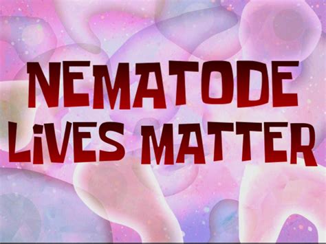 Spongebob Nematodes Still Hungry