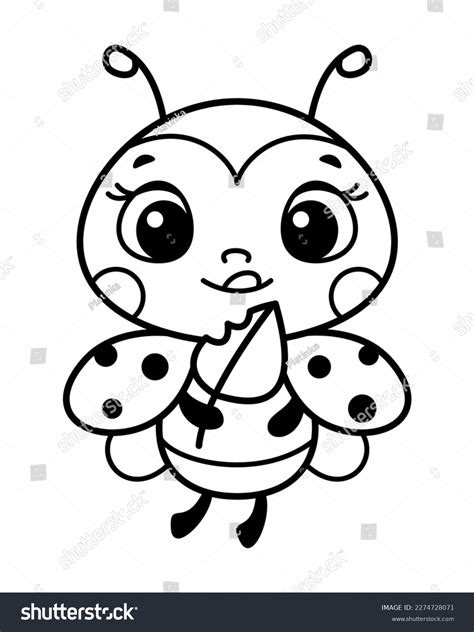 Ladybug Black And White Coloring