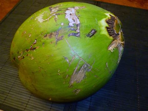 Coconuts Centex Cooks