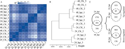 gene expression correlations among samples derived in the download